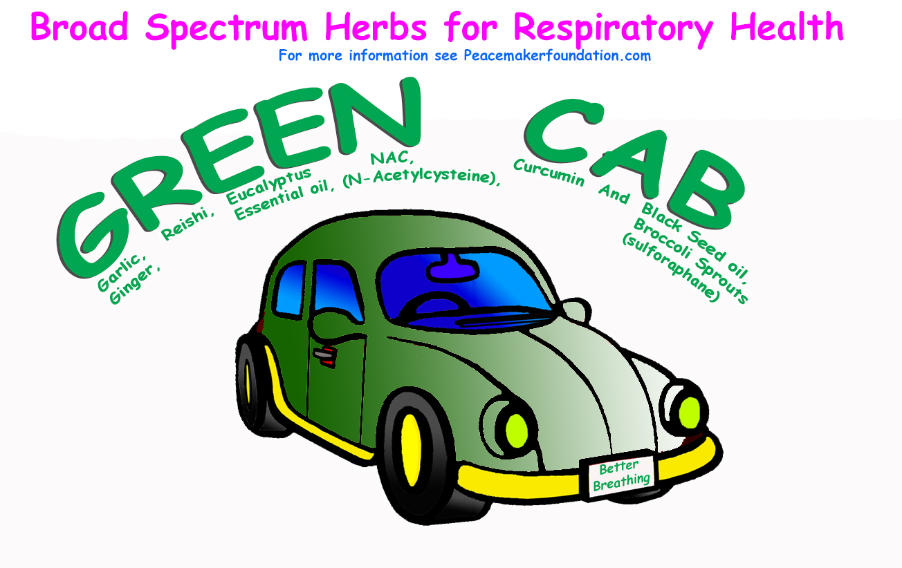 Broad Spectrum Herbs for Respiratory Health | The Peacemaker Foundation